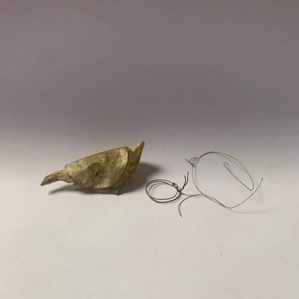 Instruments anciens – Laboratoire de Phonétique et Phonologie